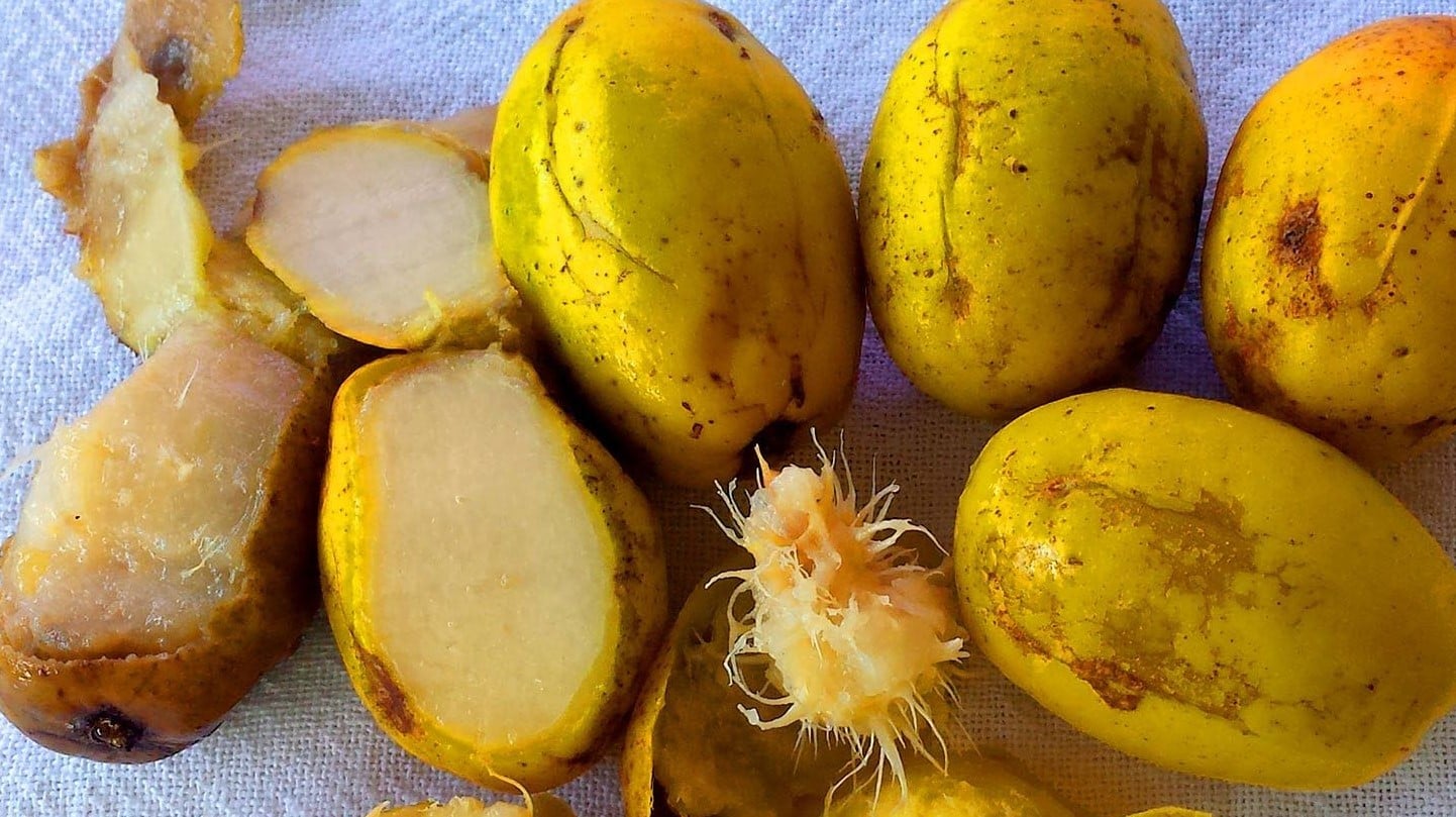 Fruta rica em vitamina C pode cuidar do fígado e coração