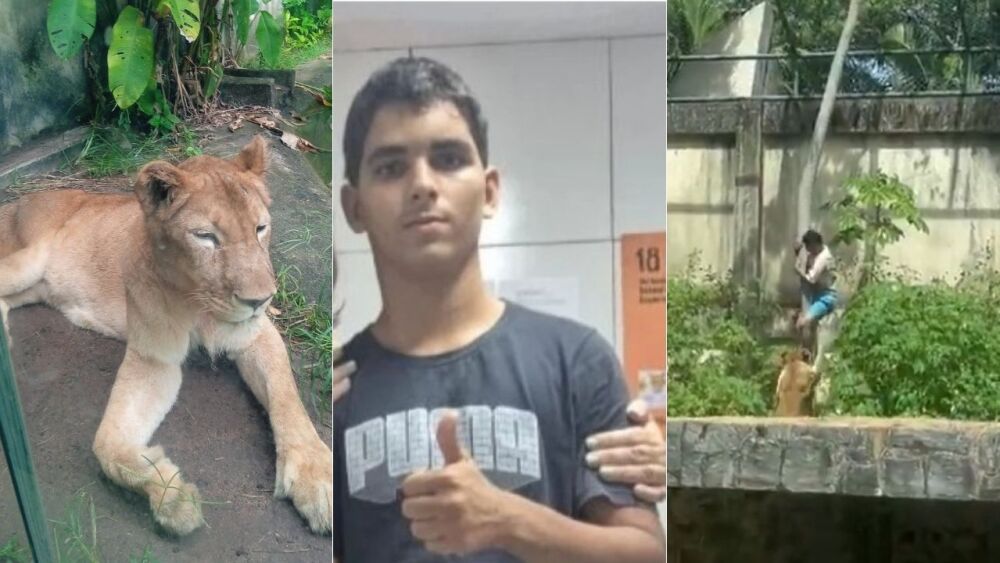Quem é Vaqueirinho, jovem que pulou em jaula de leoa em João Pessoa