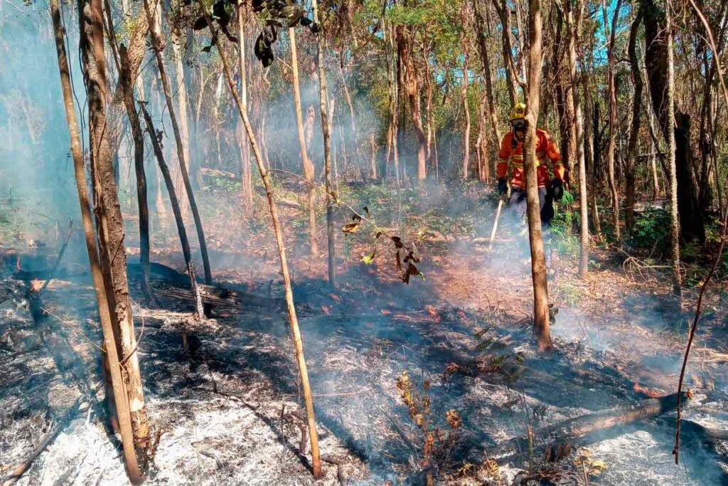 Incêndios e fumaça afetam saúde e causam riscos à população de Juiz de Fora