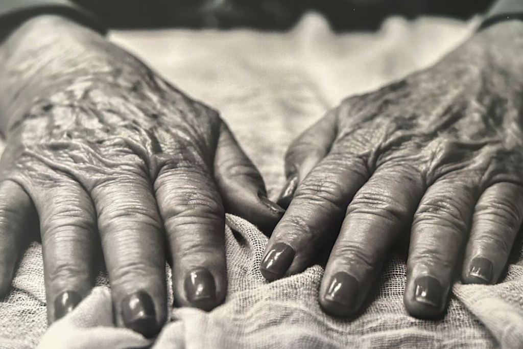 "40 Anos de Amor": Exposição destaca memória das mulheres da Fábrica ...