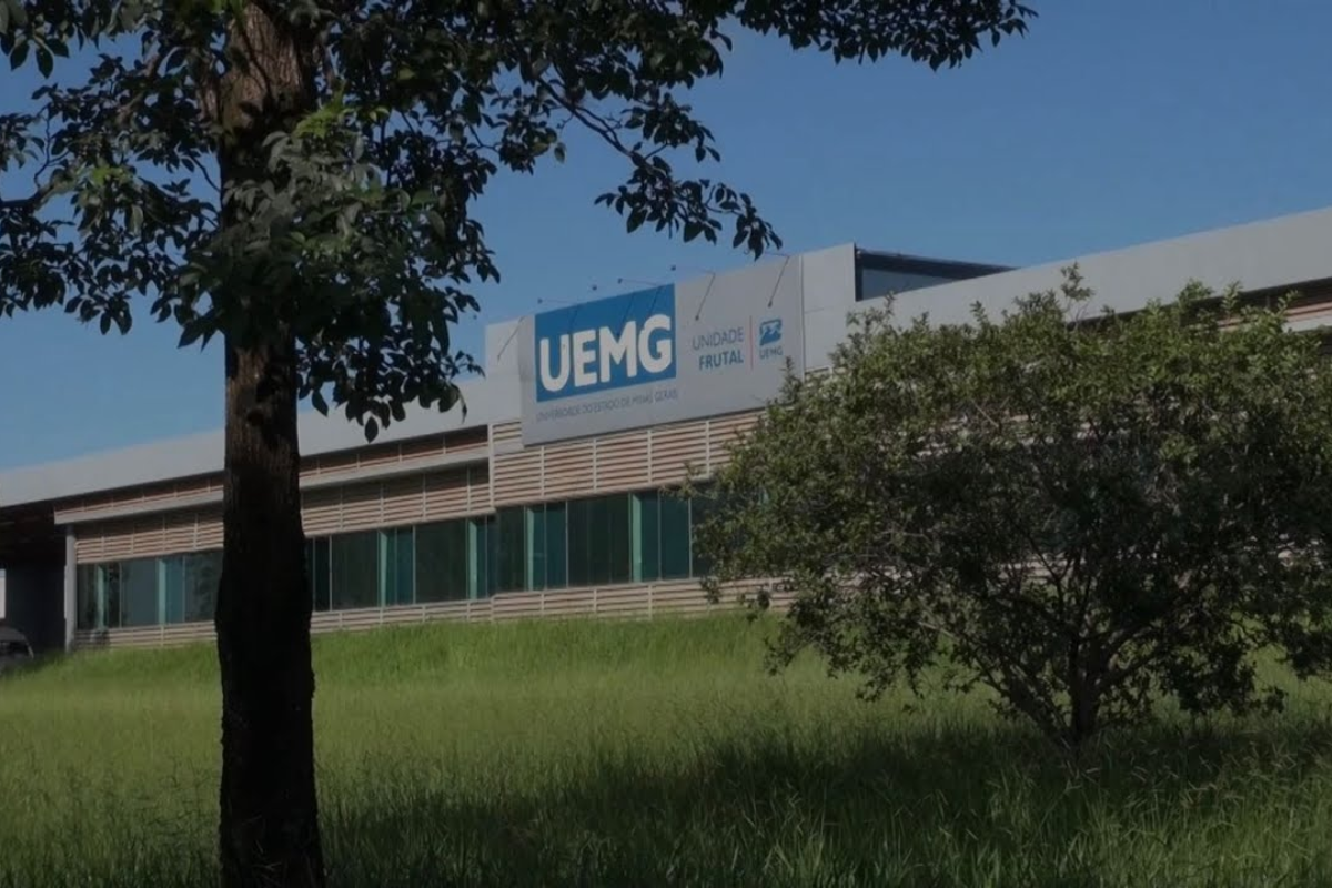 Uemg abre inscrições para o vestibular 2026 com mais de 4,8 mil vagas ...